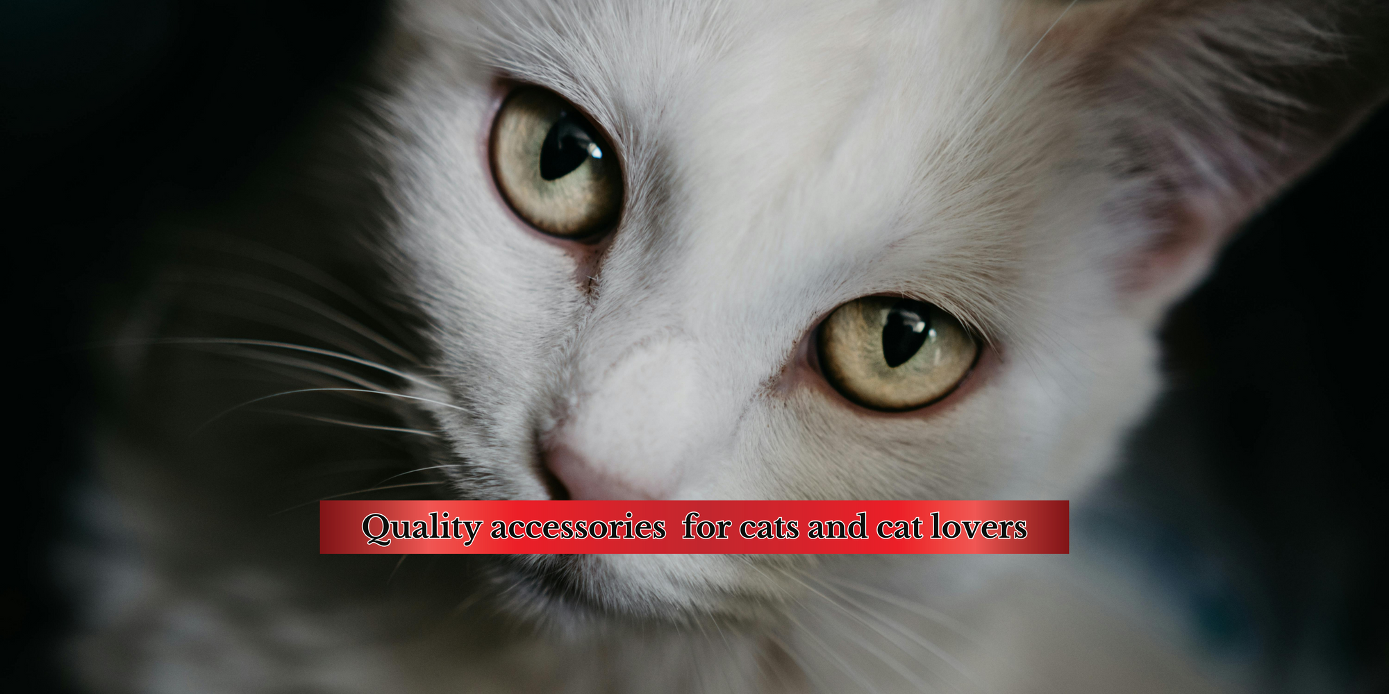 Welcome to Luv dat cat a store for cat lovers and cats. Free Shipping ...